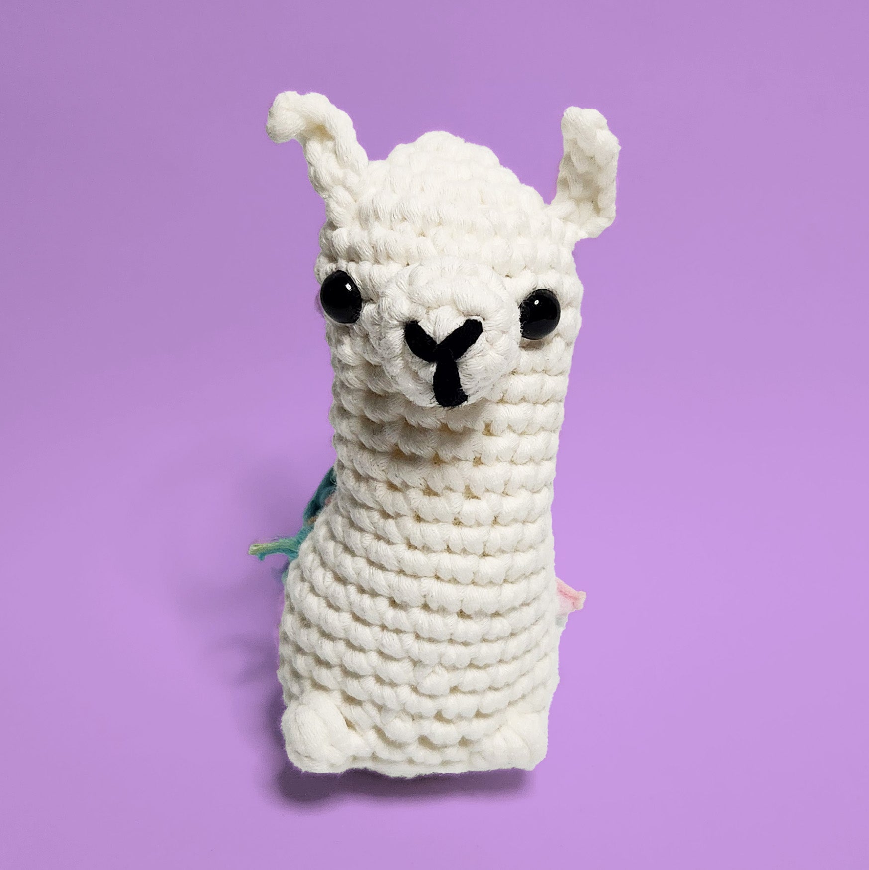 The Squishy Pals | Best Amigurumi Kits for Beginners