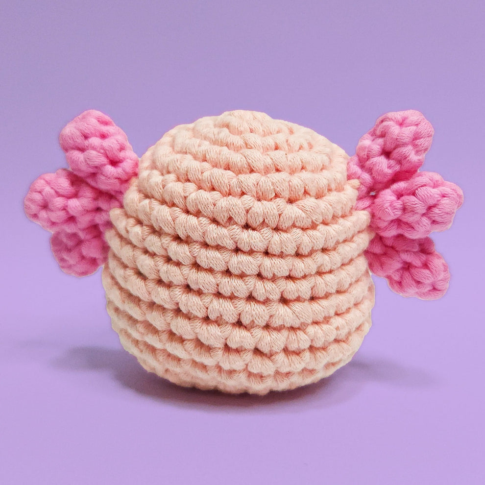 Wiggles the Axolotl | Beginner Crochet Kit – The Squishy Pals